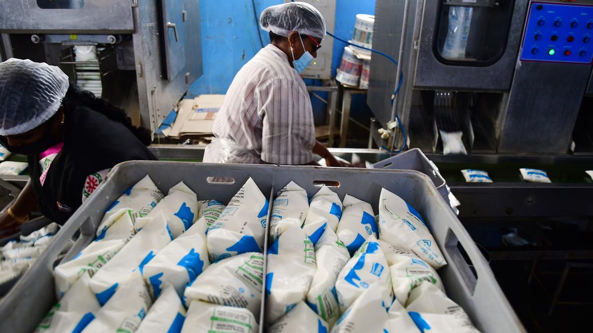 Aavin milk factory worker killed after hair gets stuck in machine - The Hindu